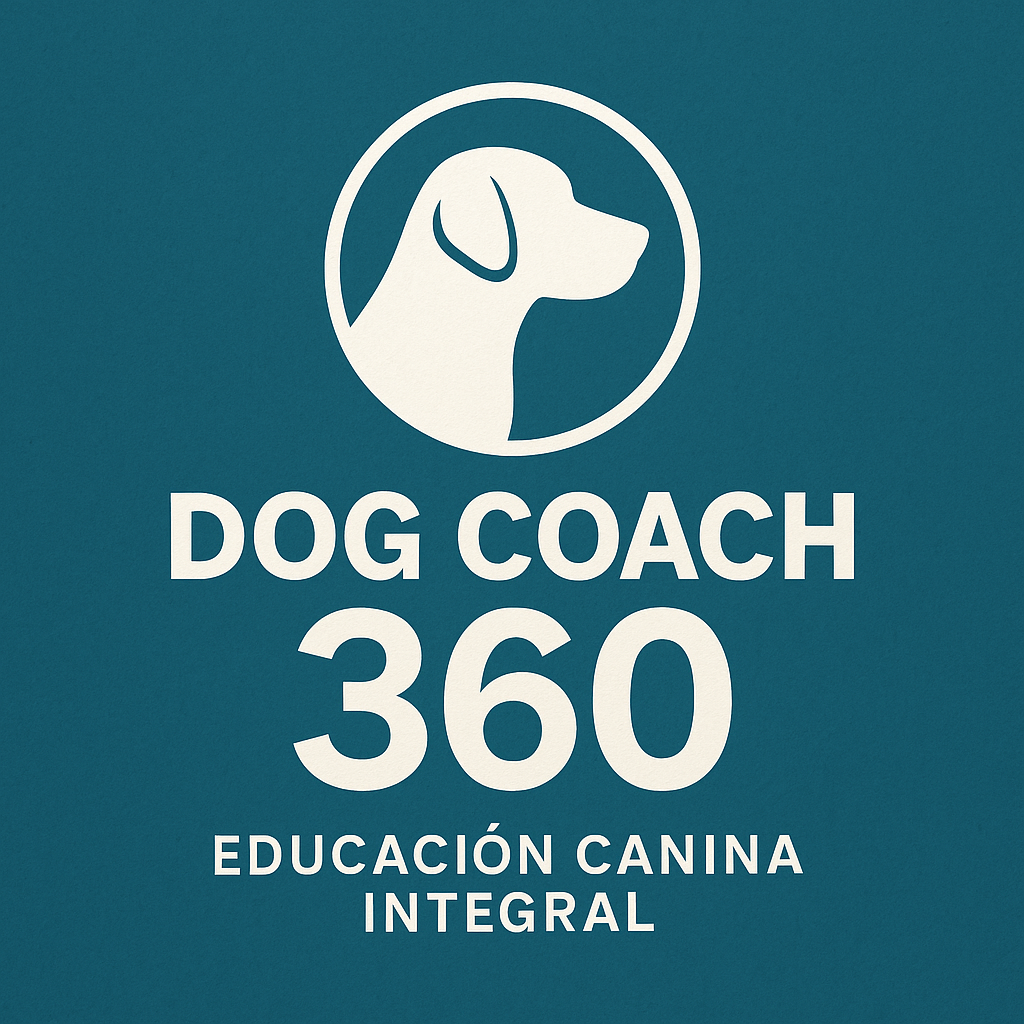 Por Qué Dog Coach Expert Es el Mejor Hospedaje Canino en Lima (y No Es ...